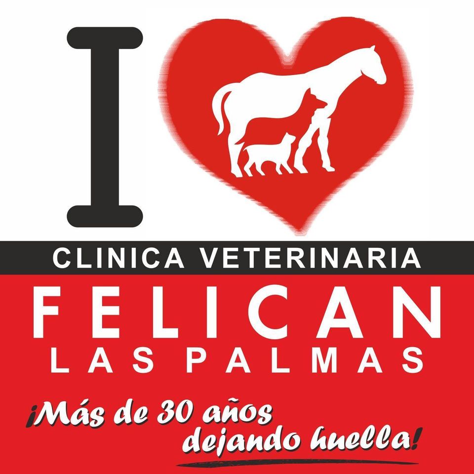 HORTERA PARTY! 2023 - InsideMe